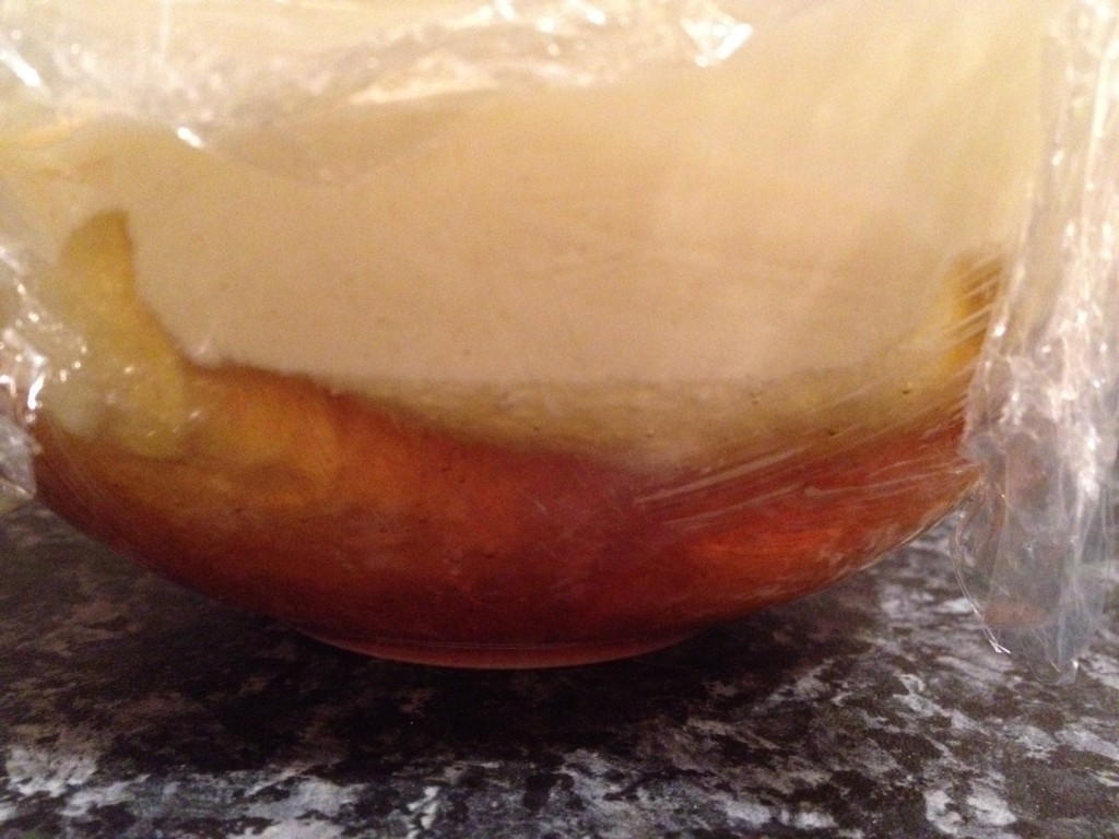 Microwaveable Golden Syrup Sponge Pudding Recipe | Cosy Life